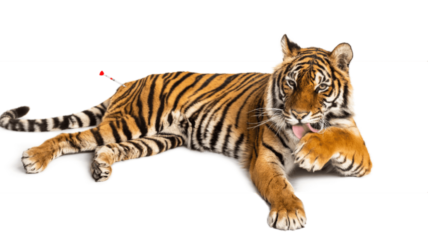 TELINJECT - Veterinary Special Equipment GmbH